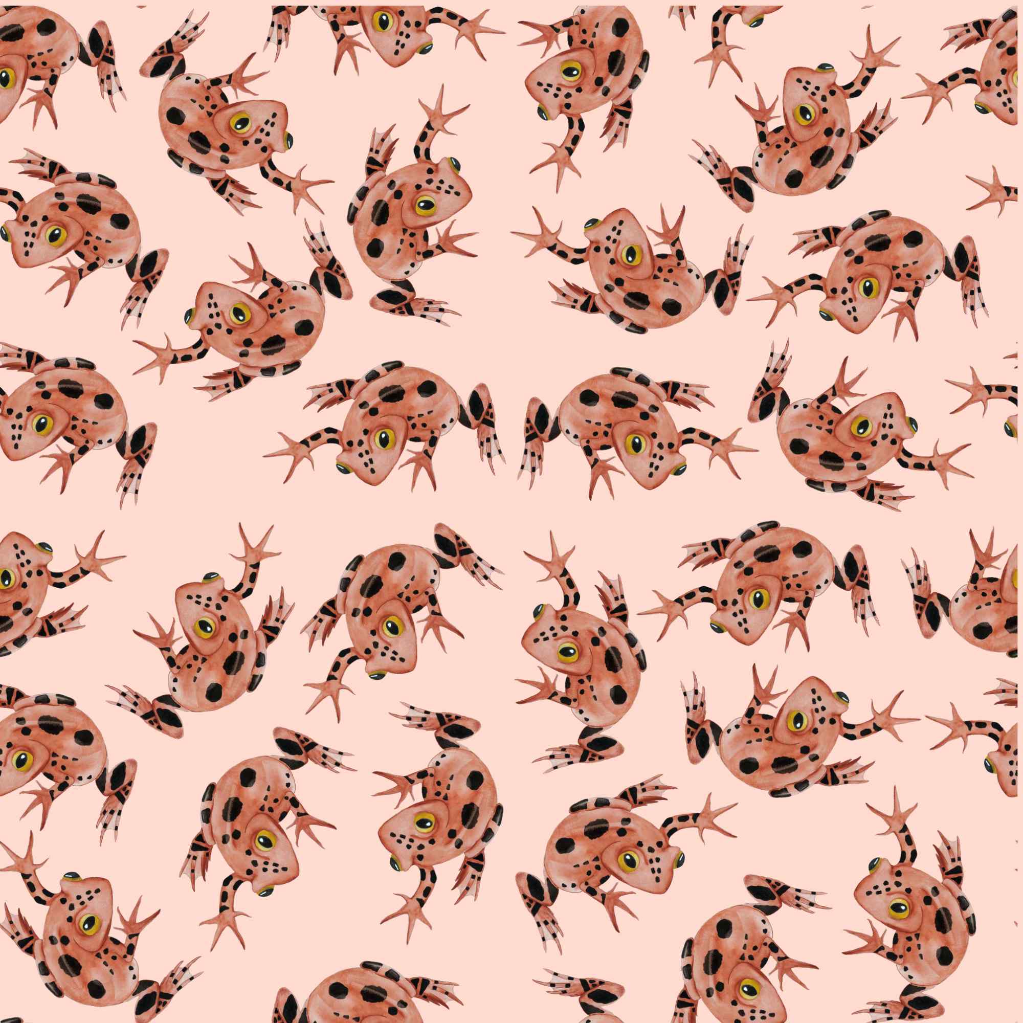 Frog – Gus + Steel